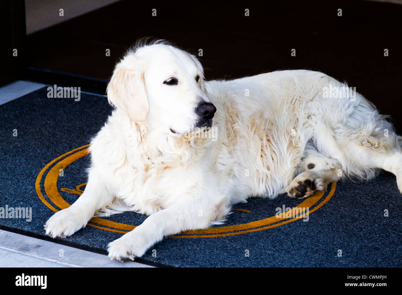 Guarding front hi-res stock photography and images - Alamy