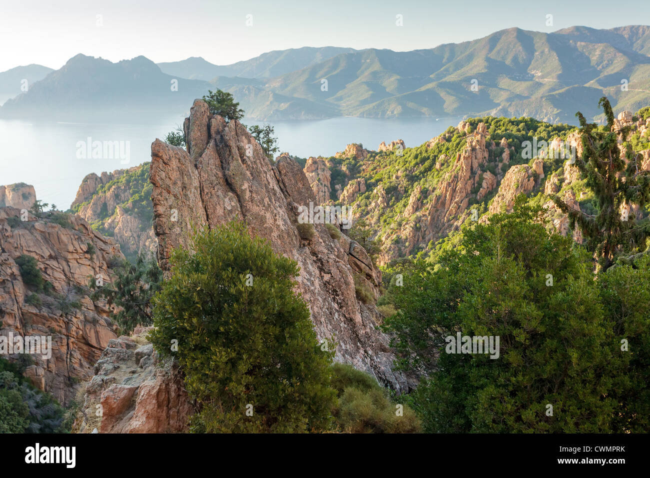 Corsica island france hi-res stock photography and images - Alamy