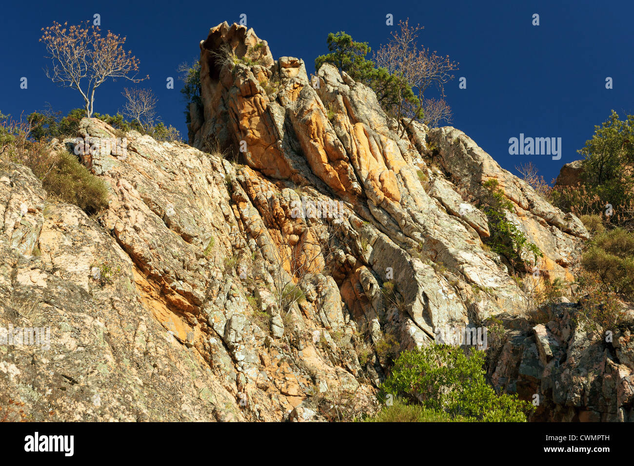 Rocky mediterranean hill in Corsica island, France Stock Photo - Alamy