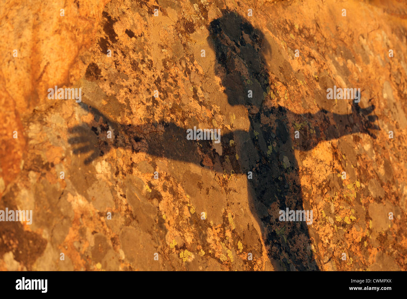 Black woman profile shadow hi-res stock photography and images - Alamy