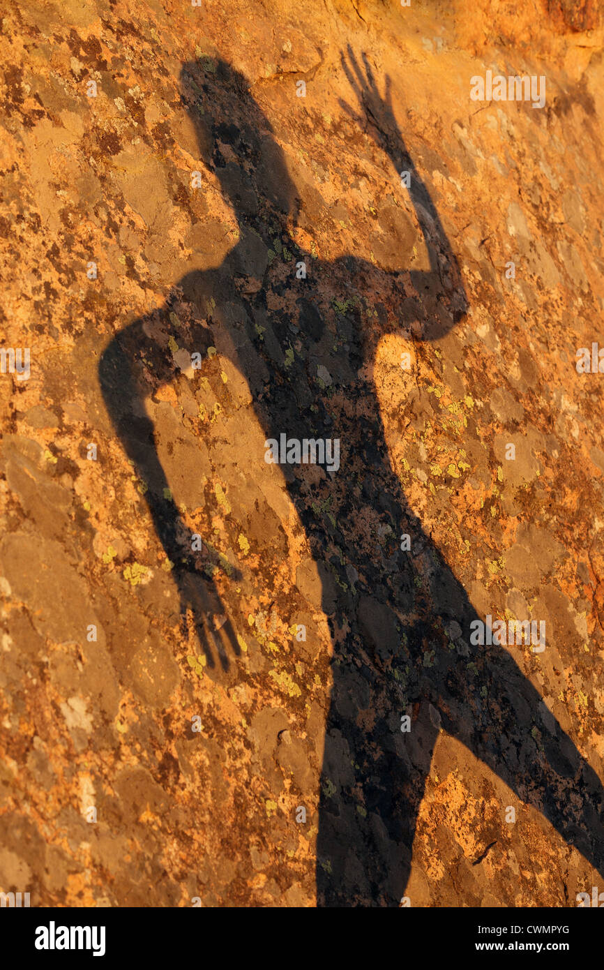 Black woman profile shadow hi-res stock photography and images - Alamy