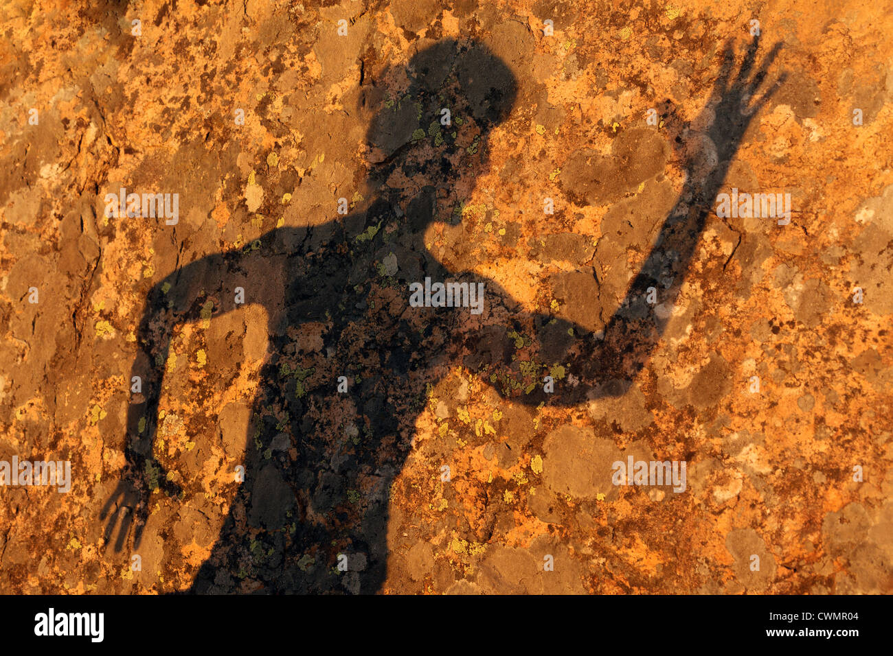 Shadow profile woman hi-res stock photography and images - Alamy