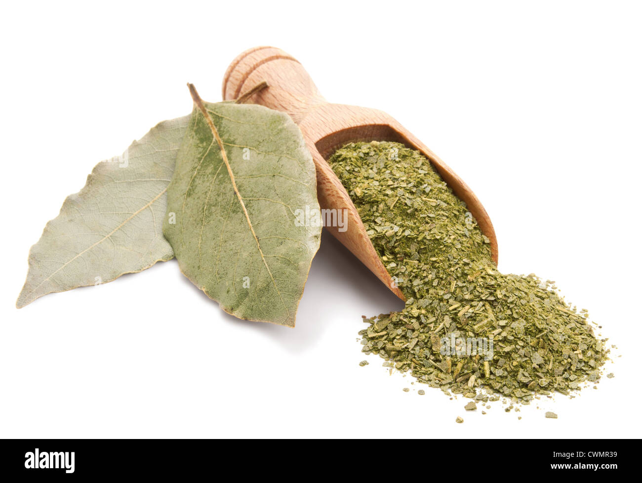 bay leaf isolated on white background Stock Photo - Alamy
