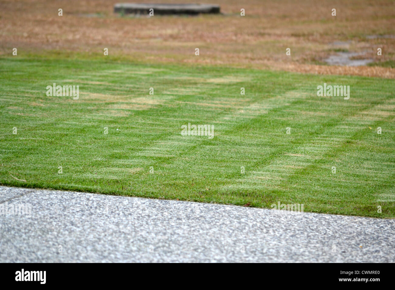 Freshly cut green grass next to a dry brown grass vacant block of land ...