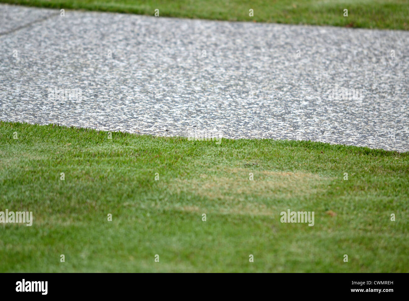 Freshly cut grass and driveway Stock Photo - Alamy