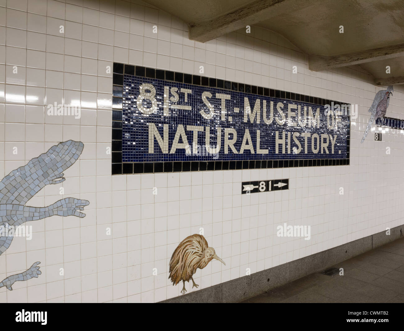 81st Street - Museum of Natural History Subway Station, NYC Stock Photo ...