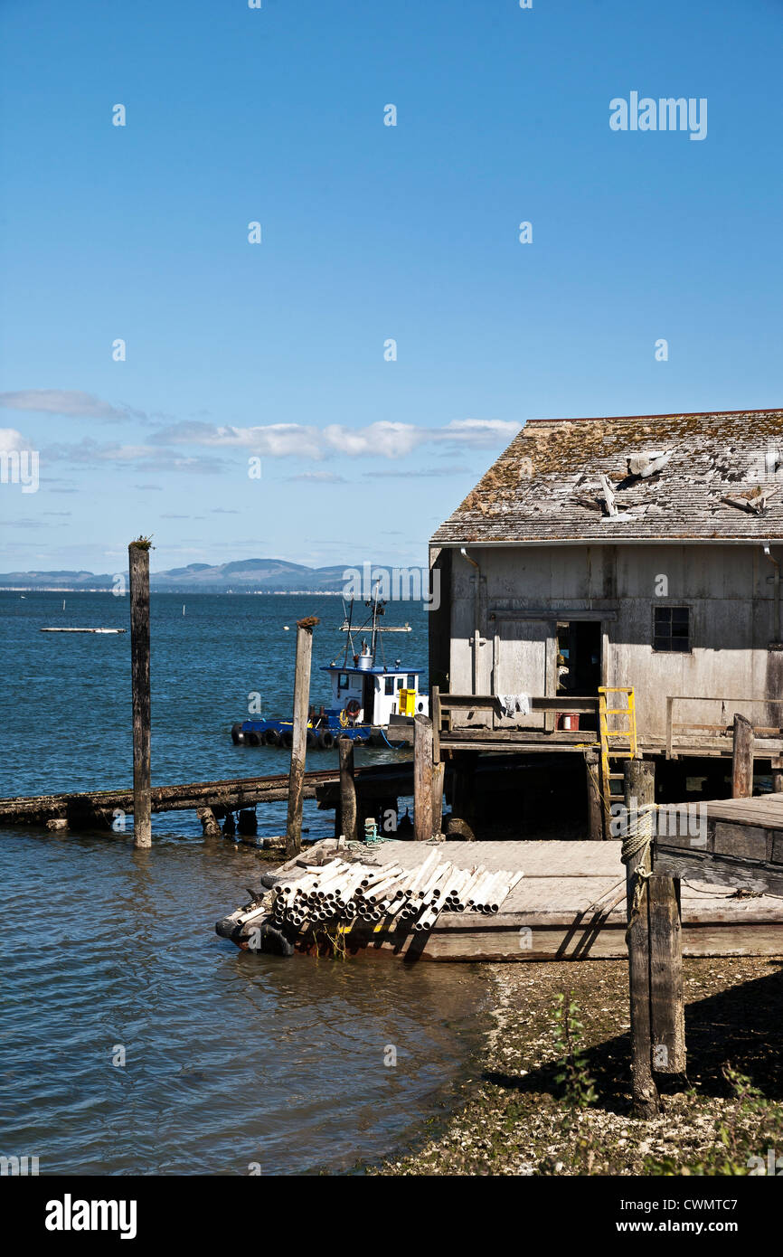 old weathered wood pier with dilapidated wooden shed & moored oyster ...