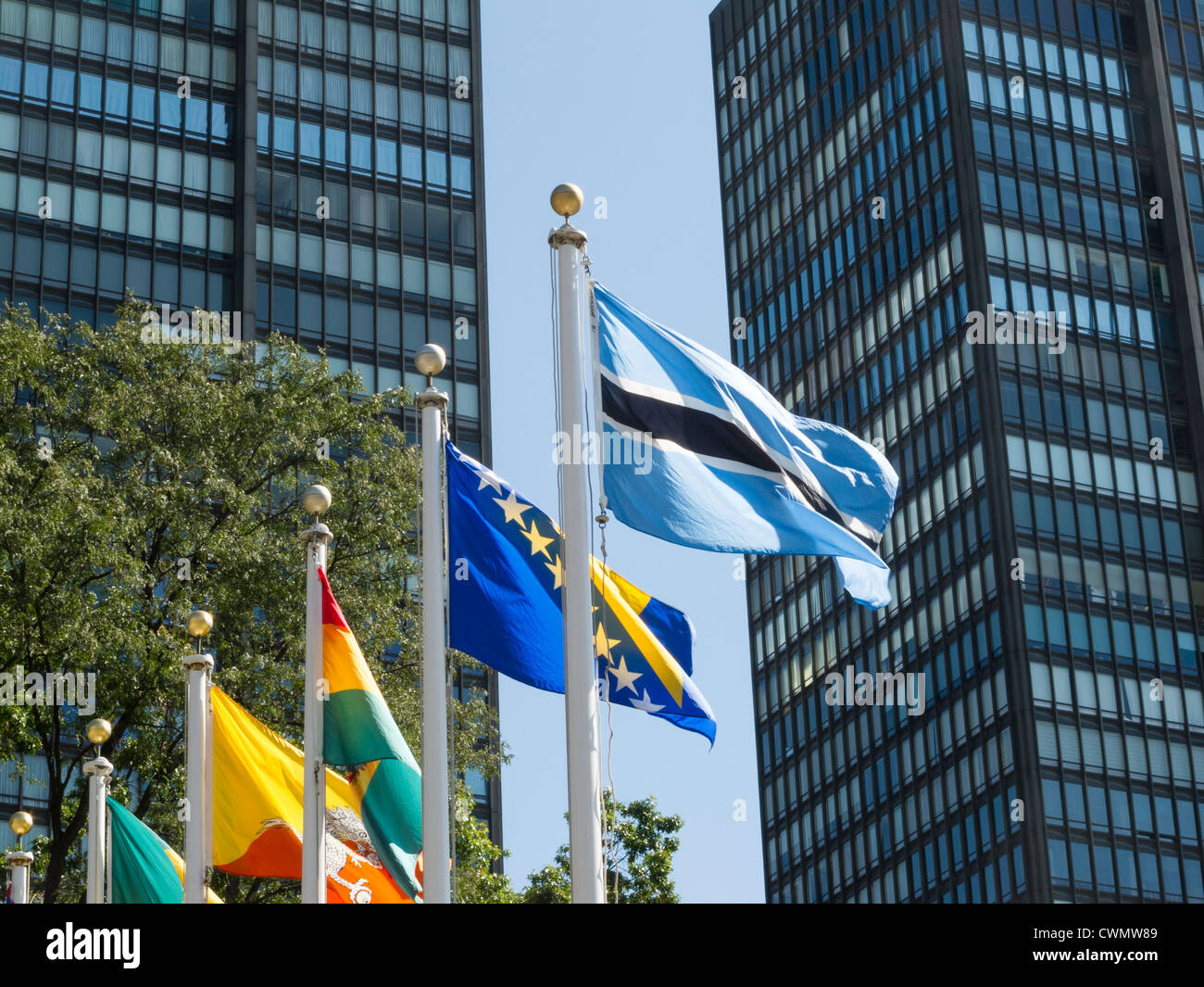 Botswana, Bosnia & Herzegovina and member Nation Flags, United Nations ...