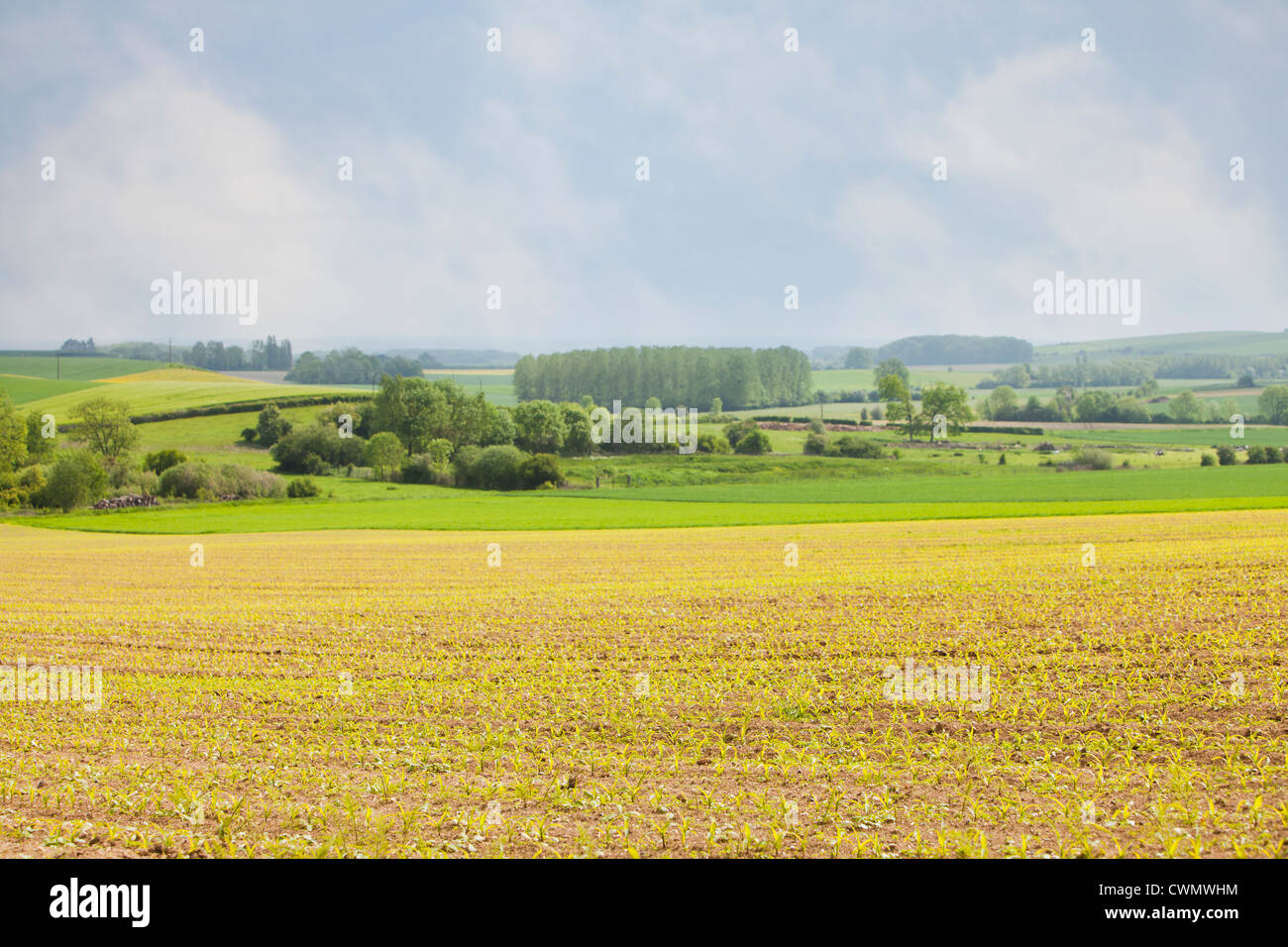 France, Rocroi, Rural landscape Stock Photo - Alamy