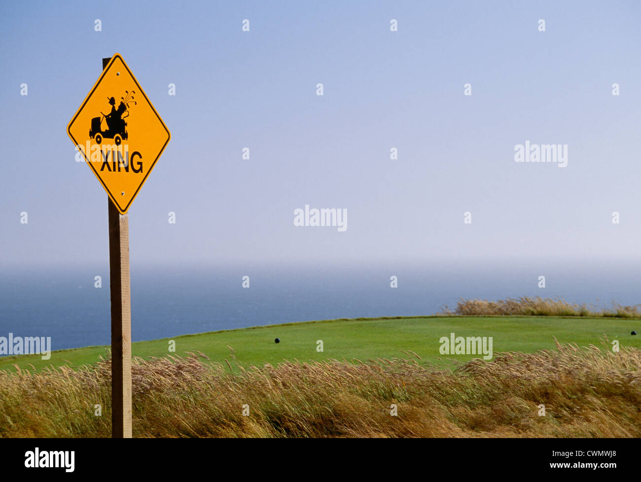 Humorous Golf Cart Crossing Sign, USA Stock Photo - Alamy
