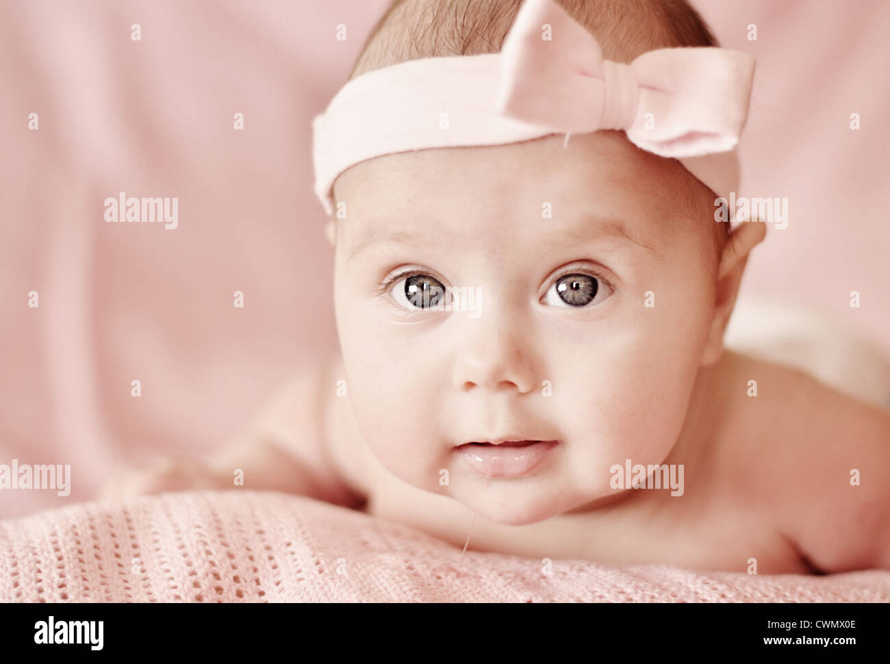 With pink bow hi-res stock photography and images - Alamy