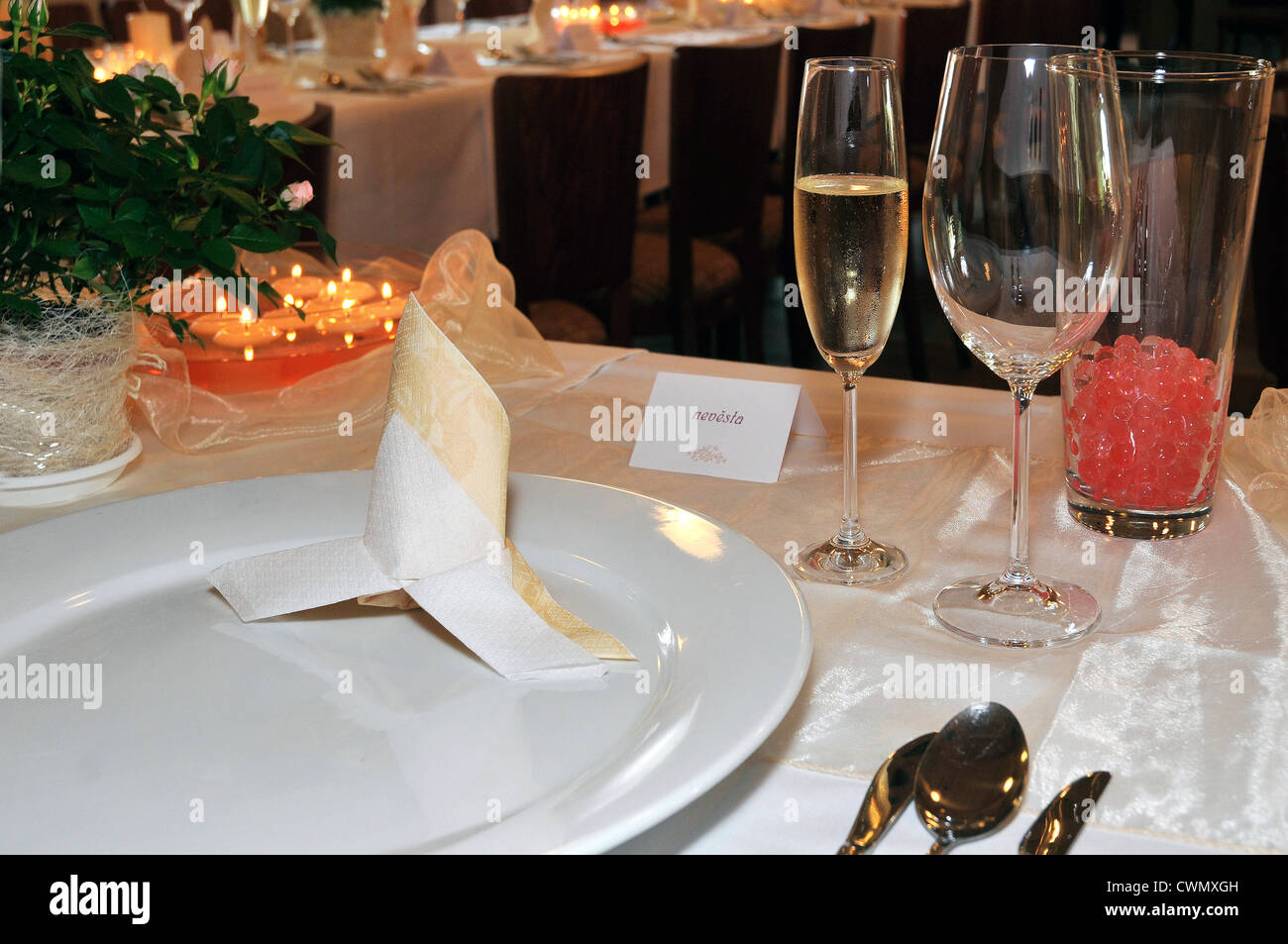 Banquet toast hi-res stock photography and images - Alamy