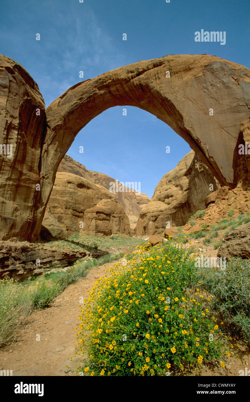 USA Utah Rainbow Bridge National Monument Stock Photo - Alamy