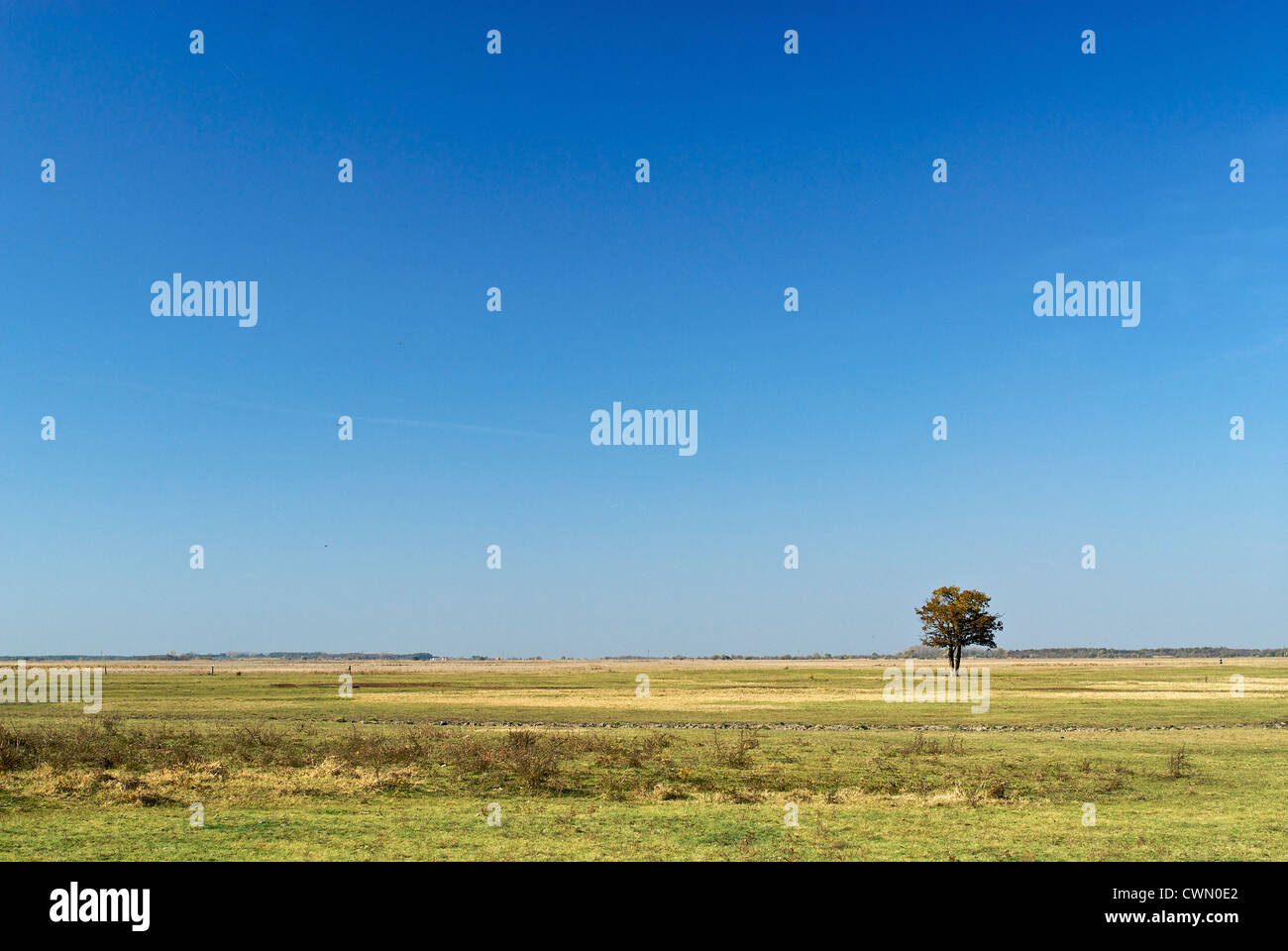 The great plain hi-res stock photography and images - Alamy