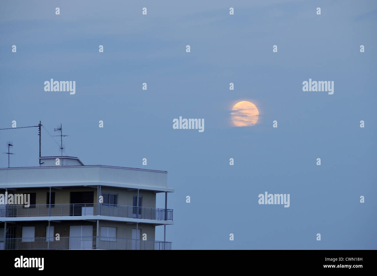 moon at dawn Stock Photo - Alamy