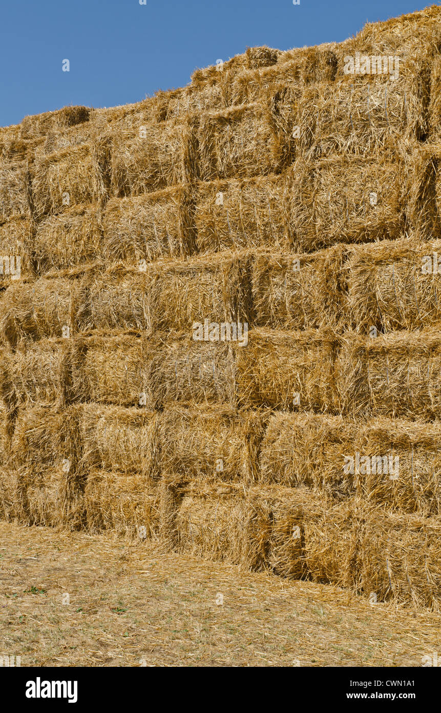 a stack of hay bales, vertical shot Stock Photo - Alamy
