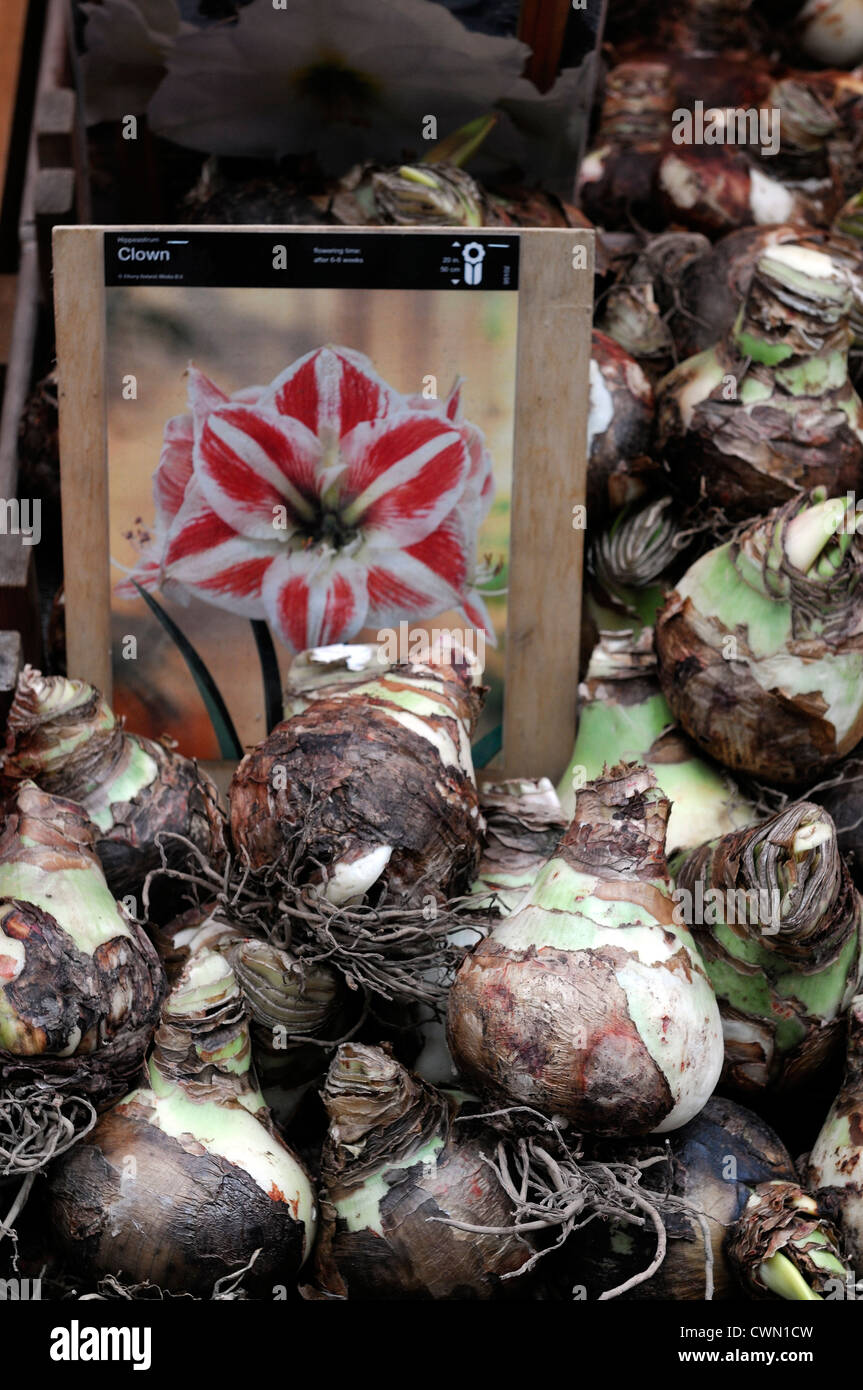 Rows boxes hi-res stock photography and images - Alamy