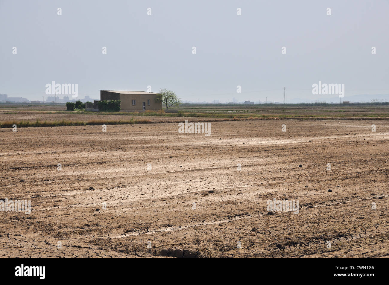 Dry rice field soil Stock Photo - Alamy