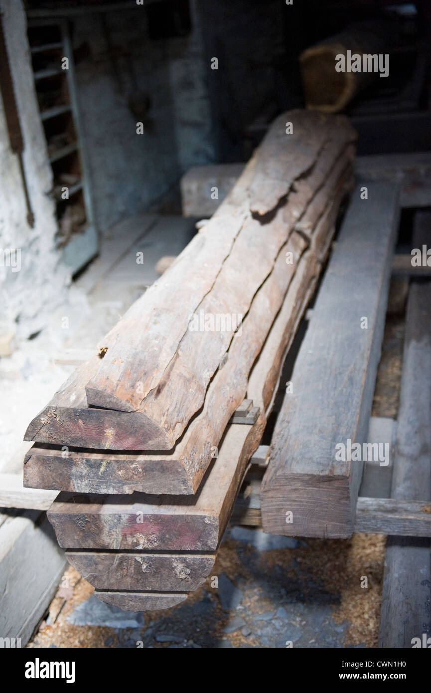 Tree machine hi-res stock photography and images - Alamy