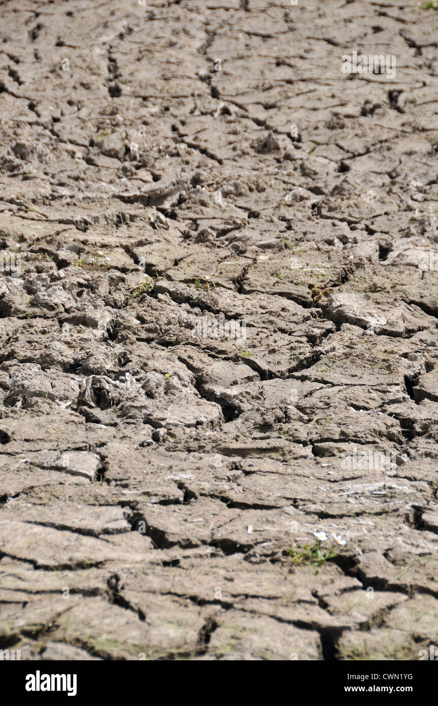 Dry rice field soil Stock Photo - Alamy