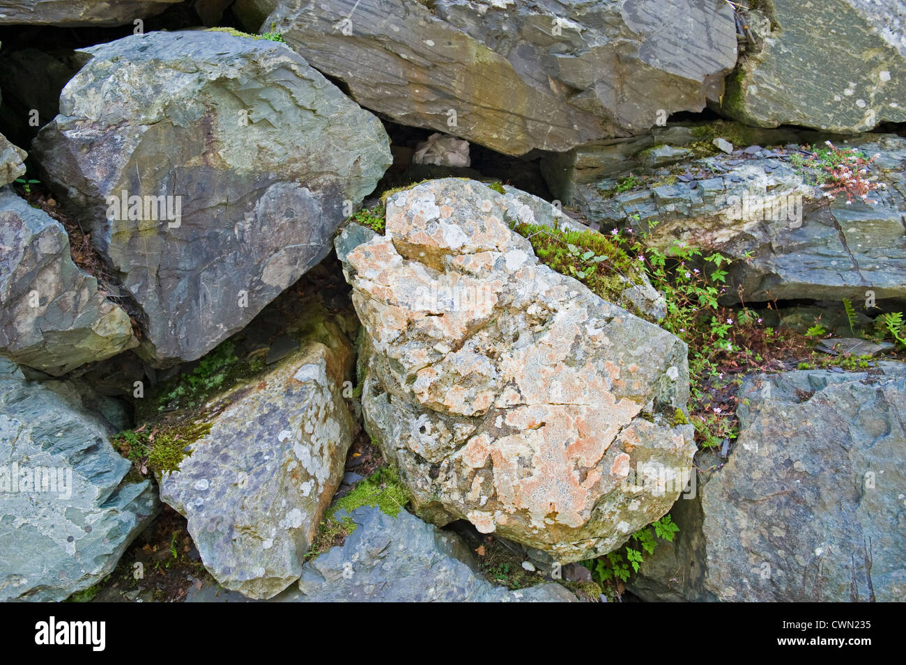 Stone rock boulders hi-res stock photography and images - Alamy