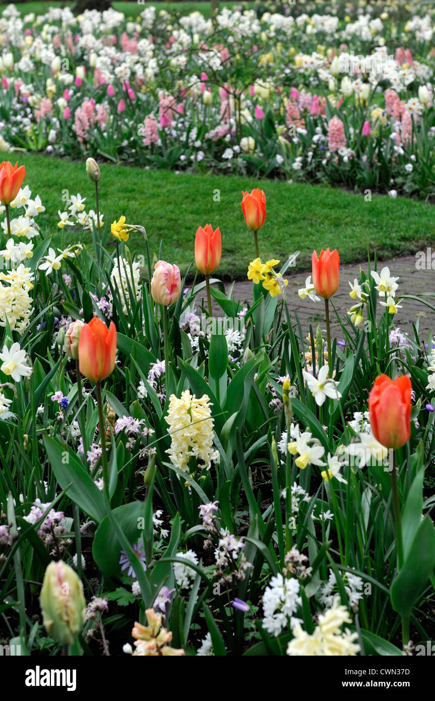 Orange princess mix hi-res stock photography and images - Alamy