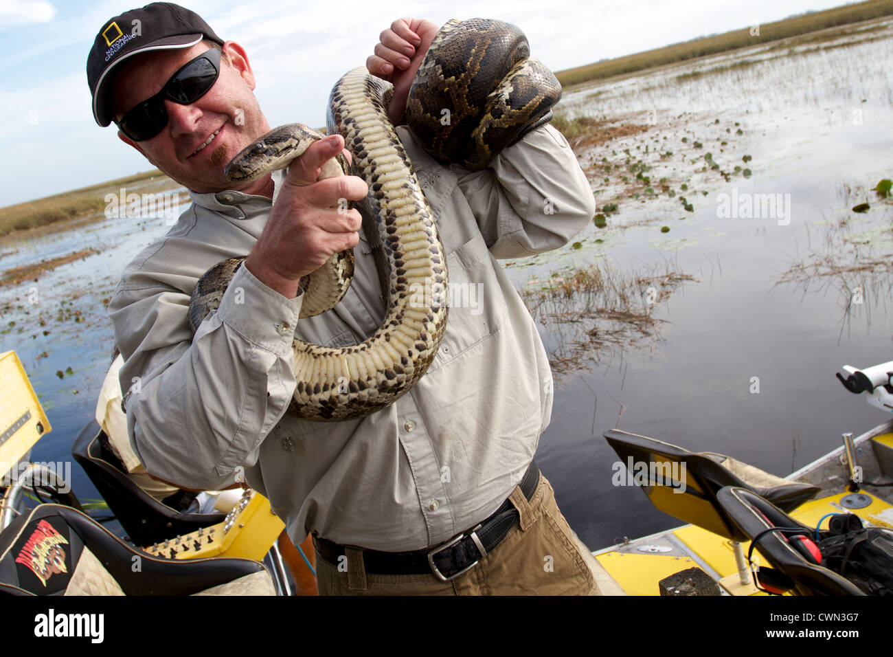 Shawn Heflick presenting a python in the Everglades Stock Photo - Alamy
