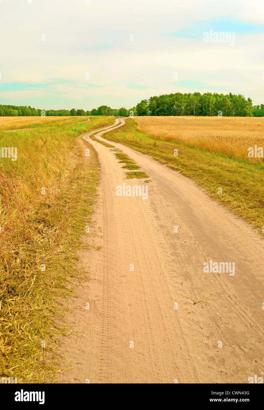 road in field Stock Photo - Alamy