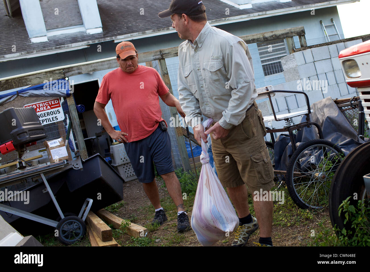 Shawn Heflick getting the snake to his laboratory Stock Photo - Alamy