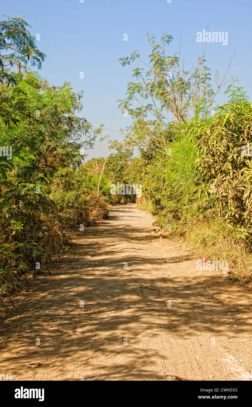Dusty countryside road in a remote area in the Philippines Stock Photo ...