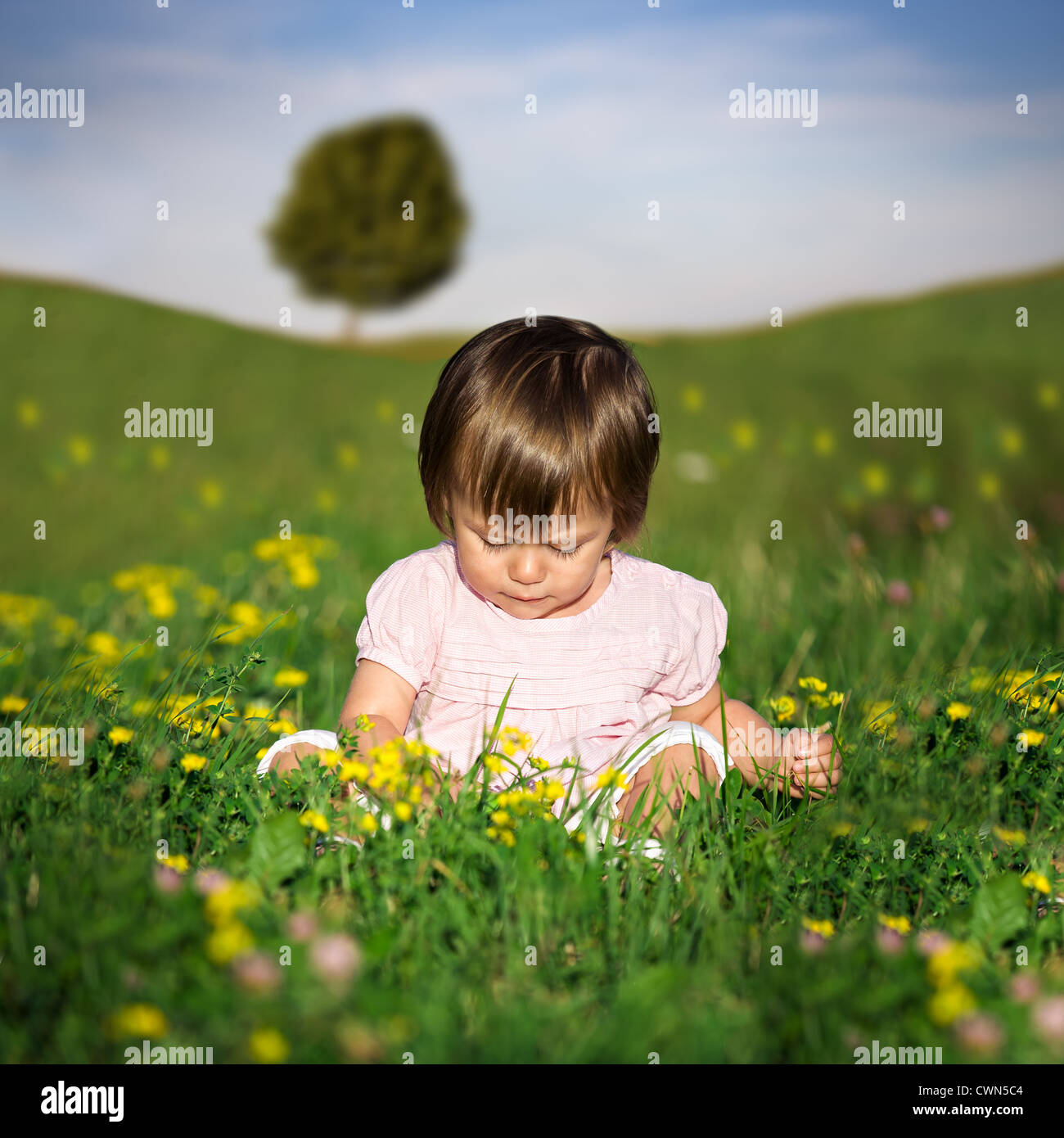 a little girl with a flower Stock Photo - Alamy