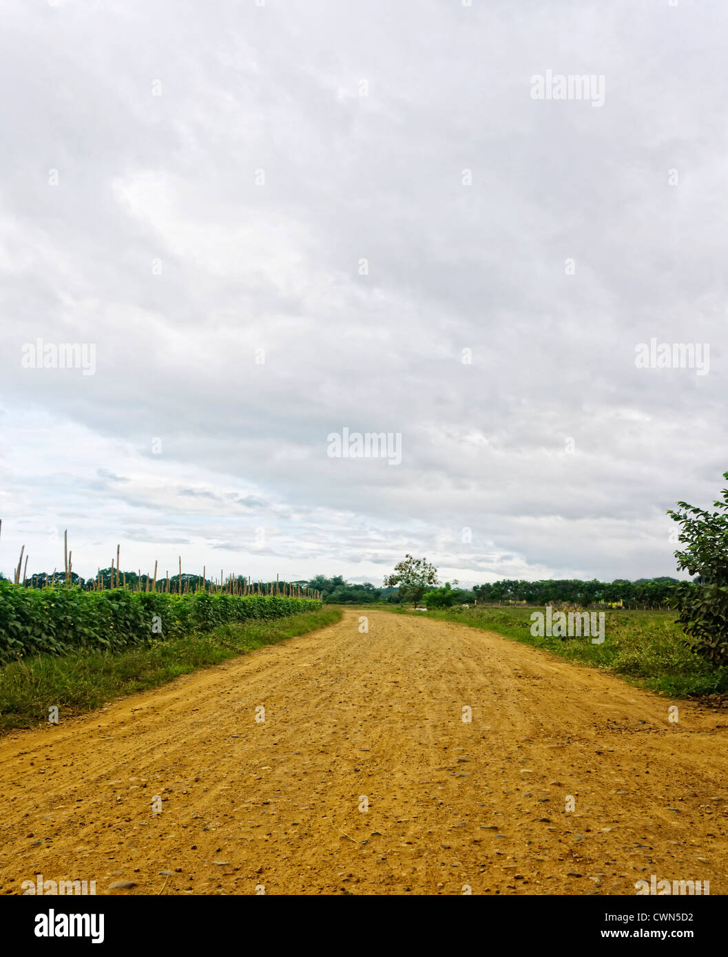 Dusty countryside road cutting across a farm in a remote area in the ...