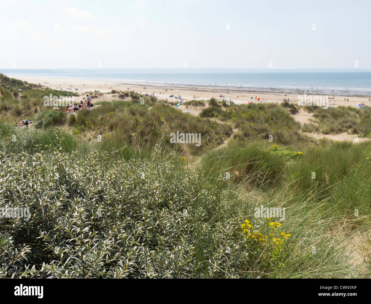 Braunton Burrows, Devon, a Special Area of Conservation, Unesco ...