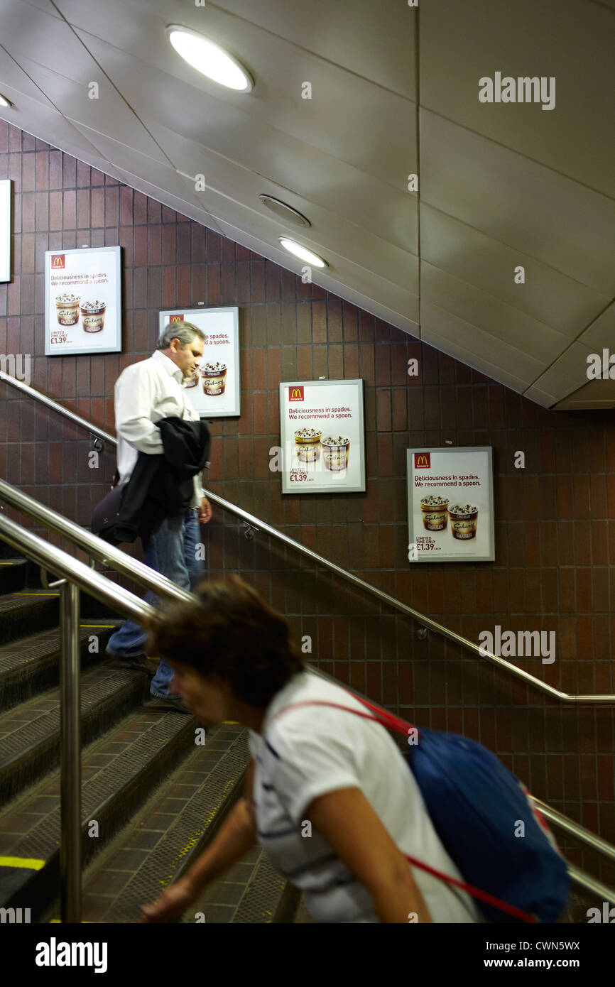 Adshells hi-res stock photography and images - Alamy