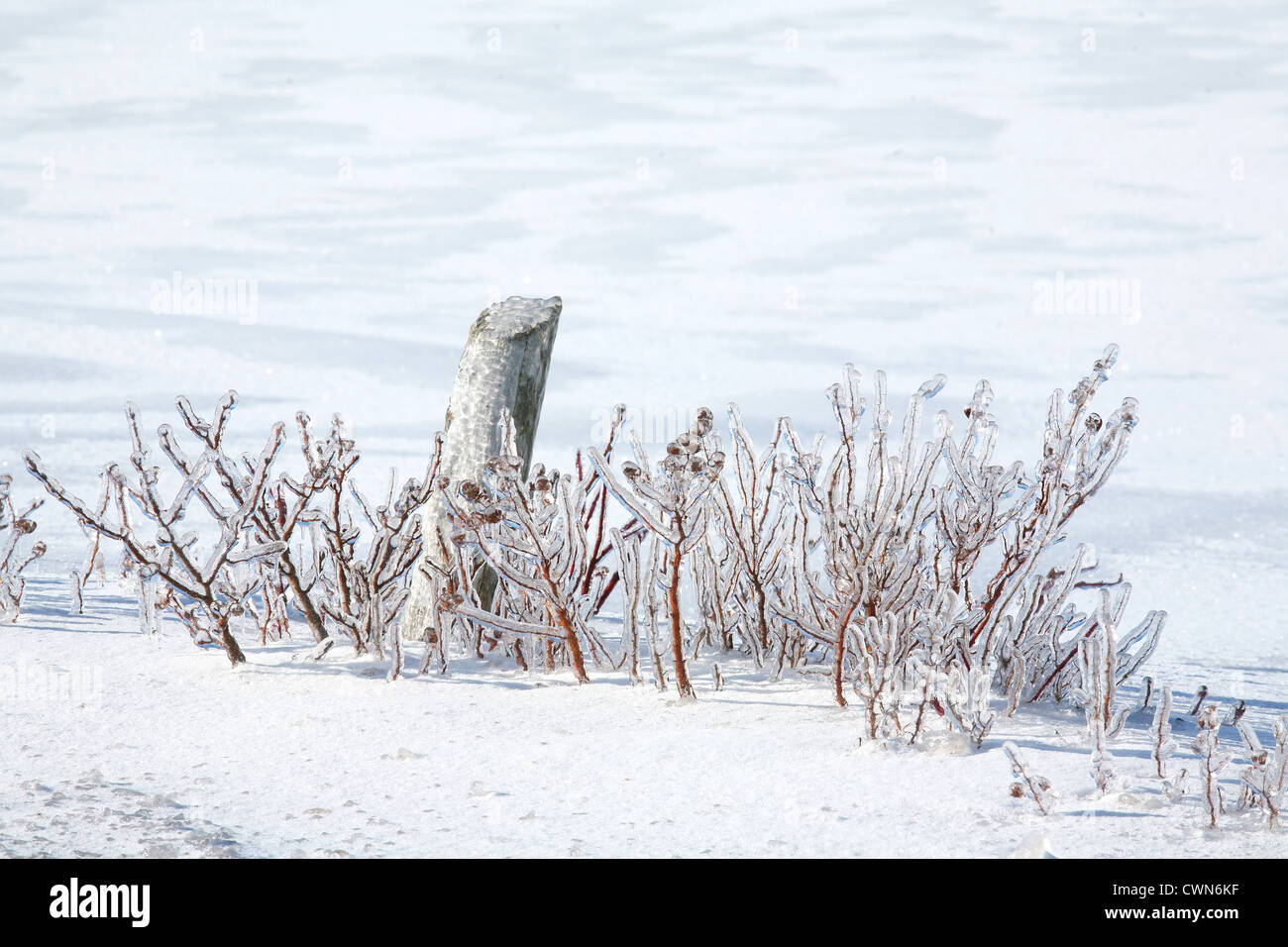 Poking up hi-res stock photography and images - Alamy