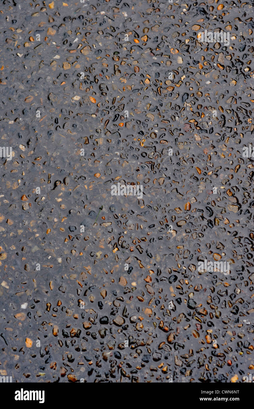 Wet Ground Stock Photos & Wet Ground Stock Images - Alamy