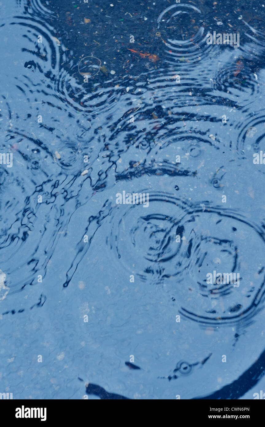 Rain drops rippling in a puddle Stock Photo - Alamy