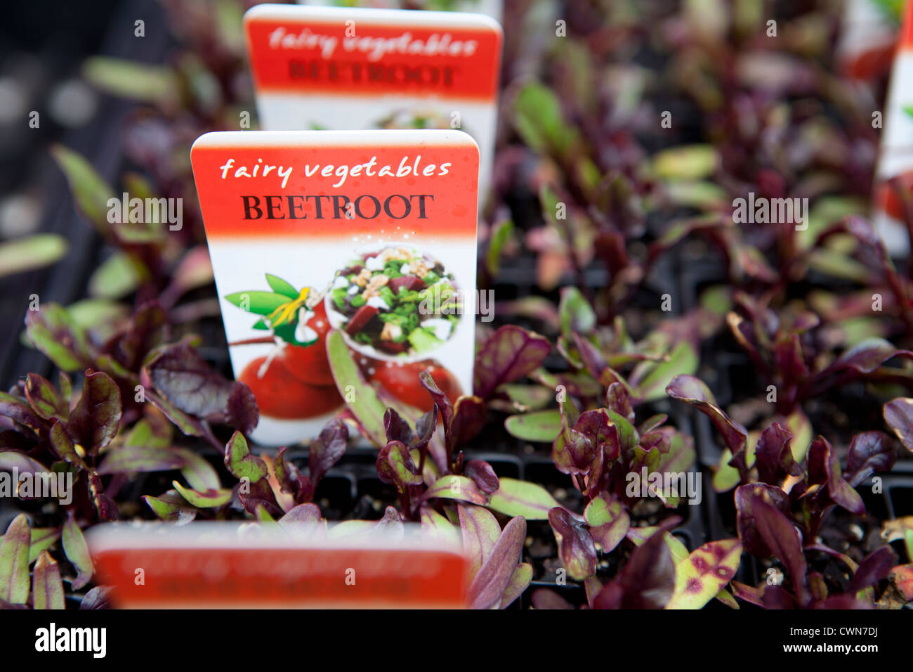 Chittering Valley 'Farmers market on a farm' in the Perth region ...