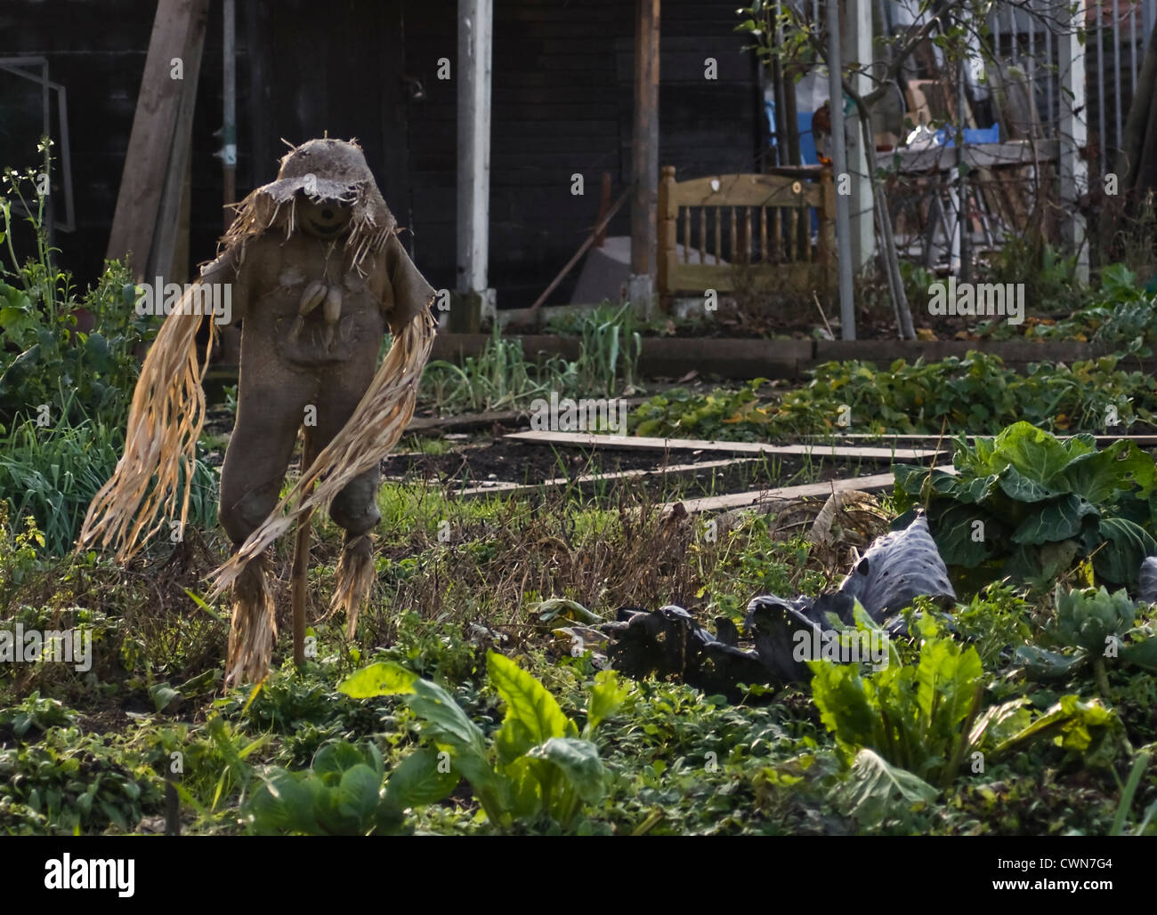 Allotment funny hi-res stock photography and images - Alamy