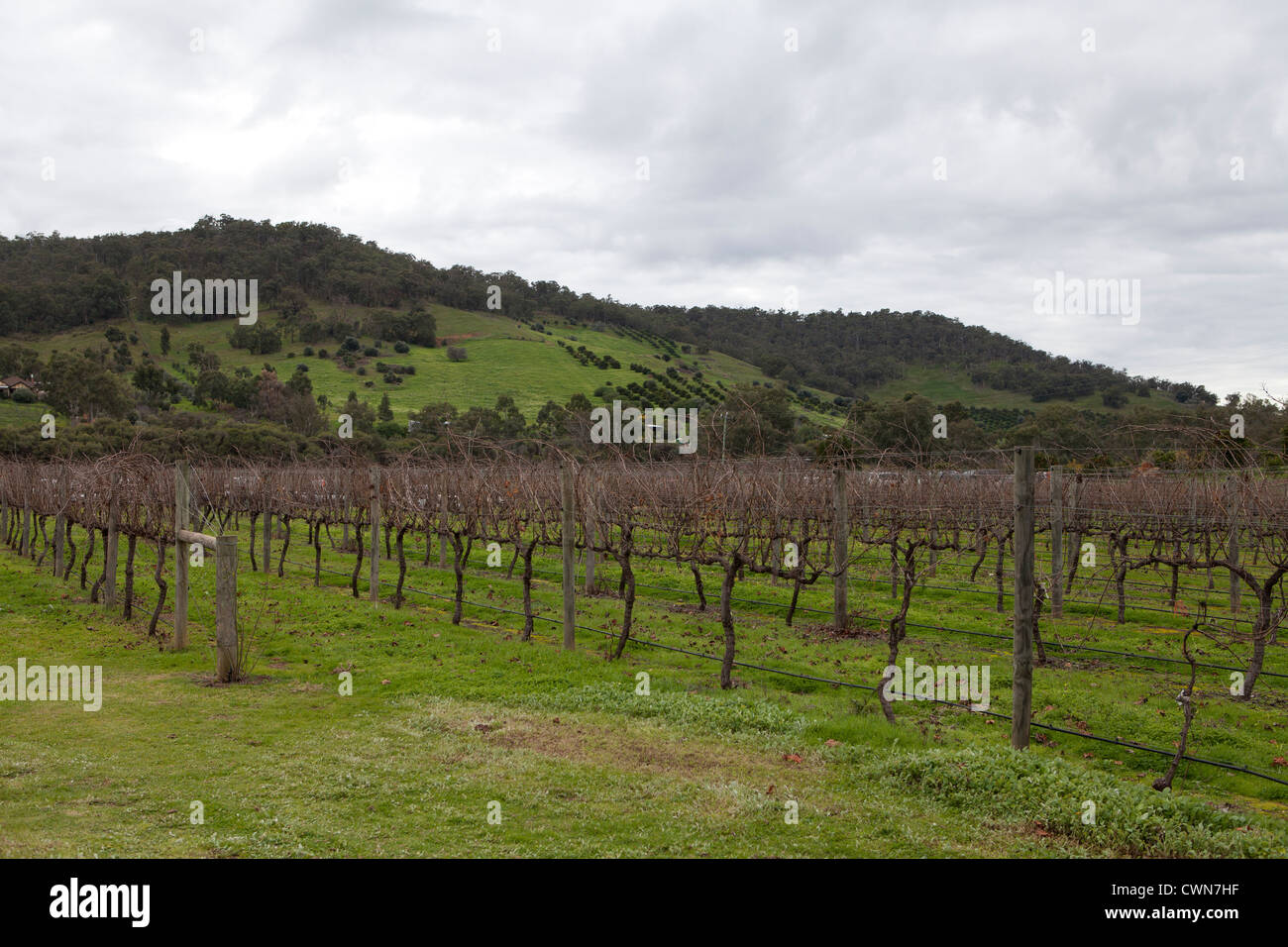 Chittering Valley 'Farmers market on a farm' in the Perth region ...