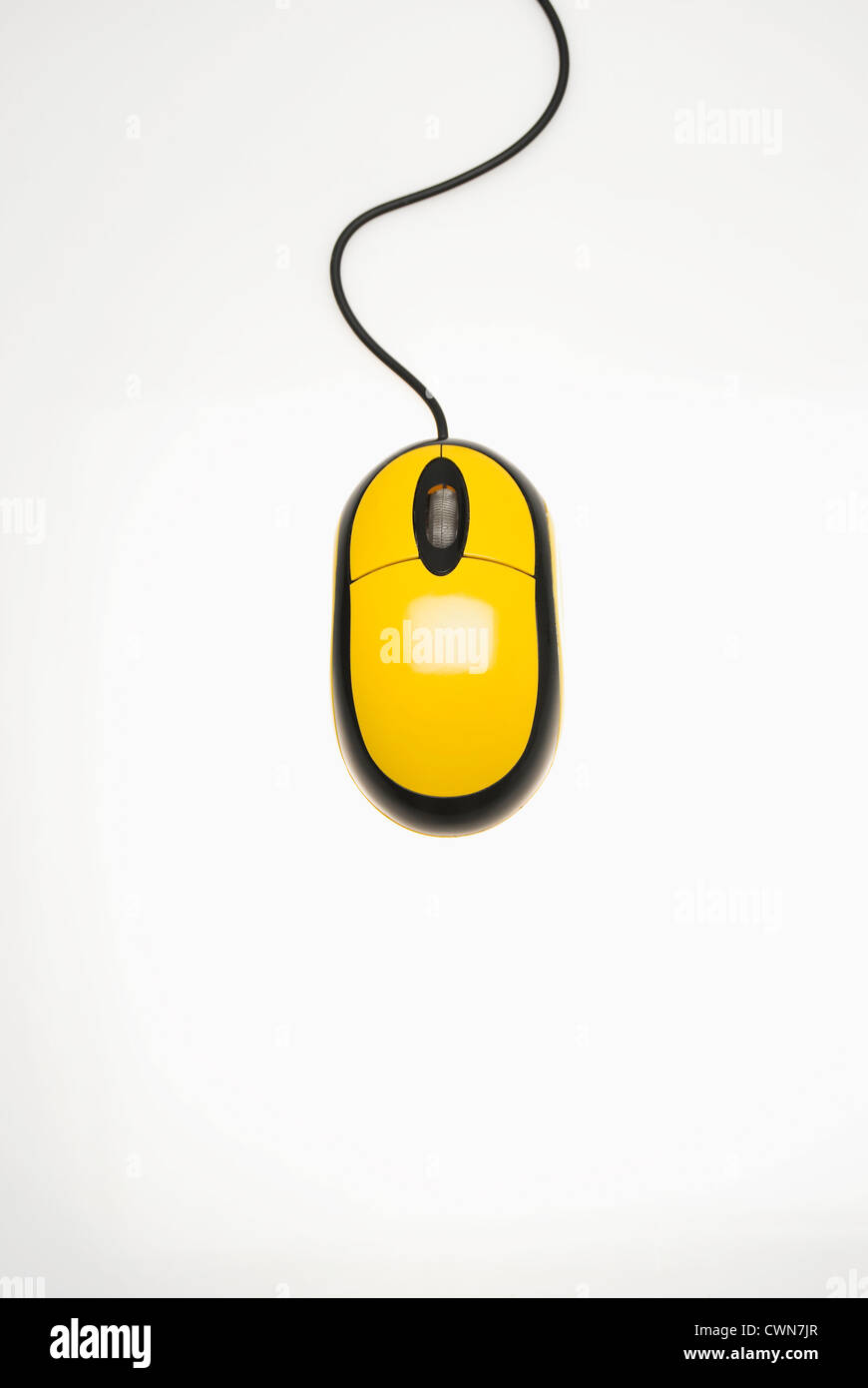 Studio shot of bright yellow computer mouse against white Stock Photo ...