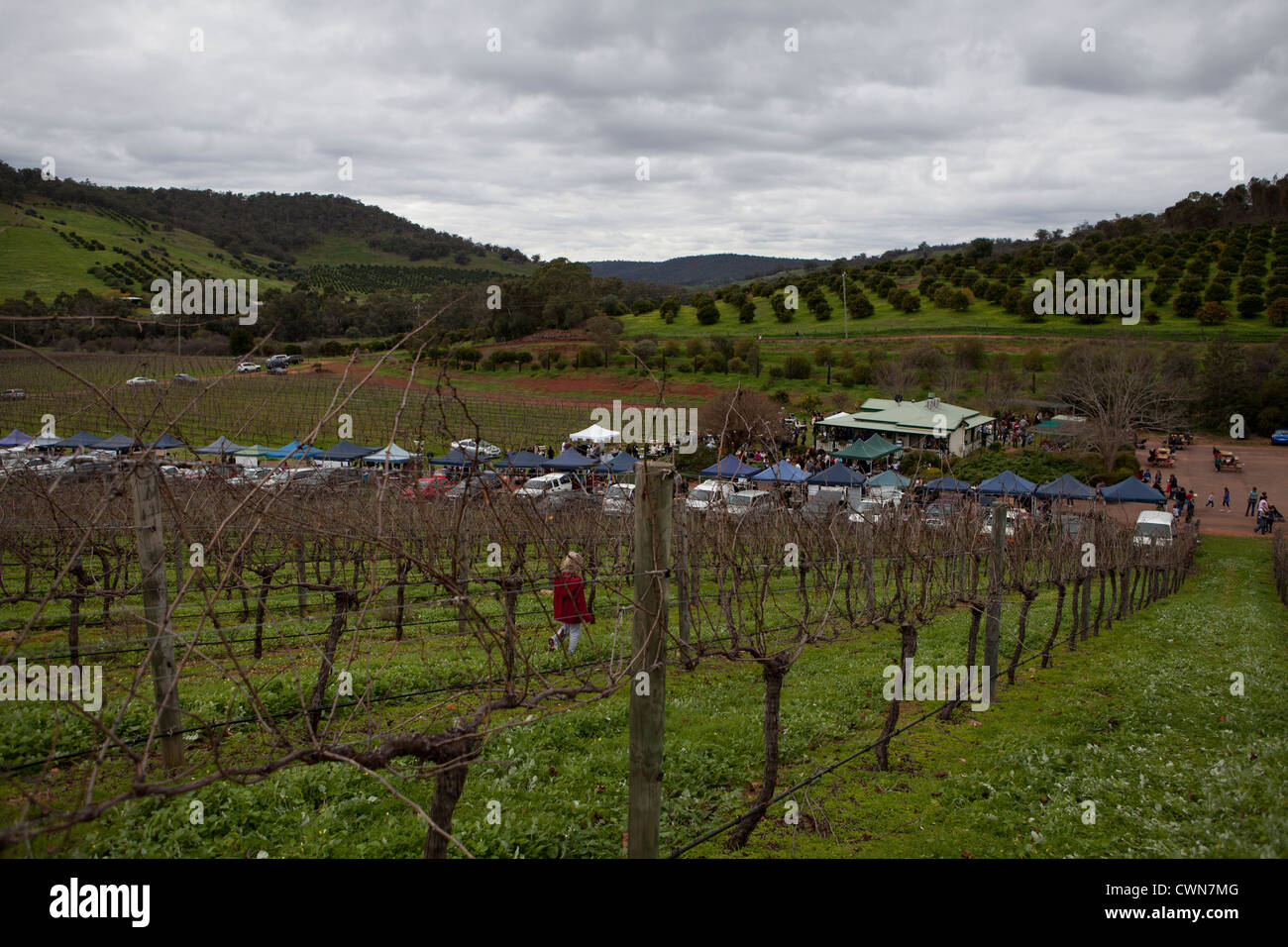 Chittering Valley 'Farmers market on a farm' in the Perth region ...