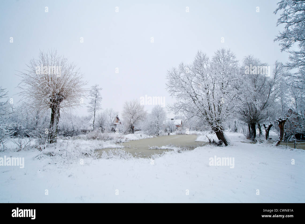 Winter typical Polish landscape with willows, marshes, snow, cottages ...