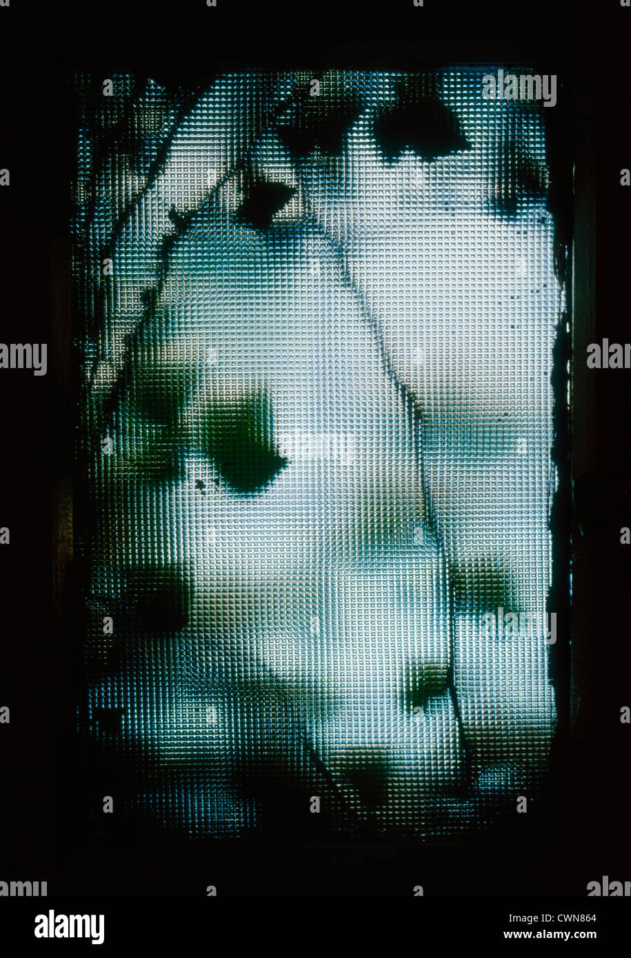 Silhouette ivy growing hi-res stock photography and images - Alamy