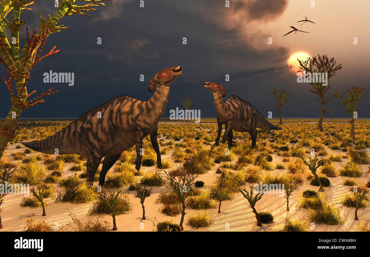 Parasaurolophus duckbill dinosaurs hi-res stock photography and images ...