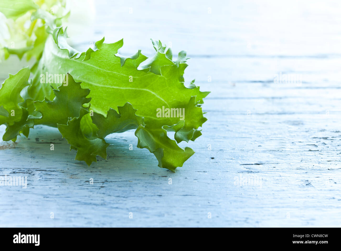 endive lettuce greens vegetable food Stock Photo - Alamy
