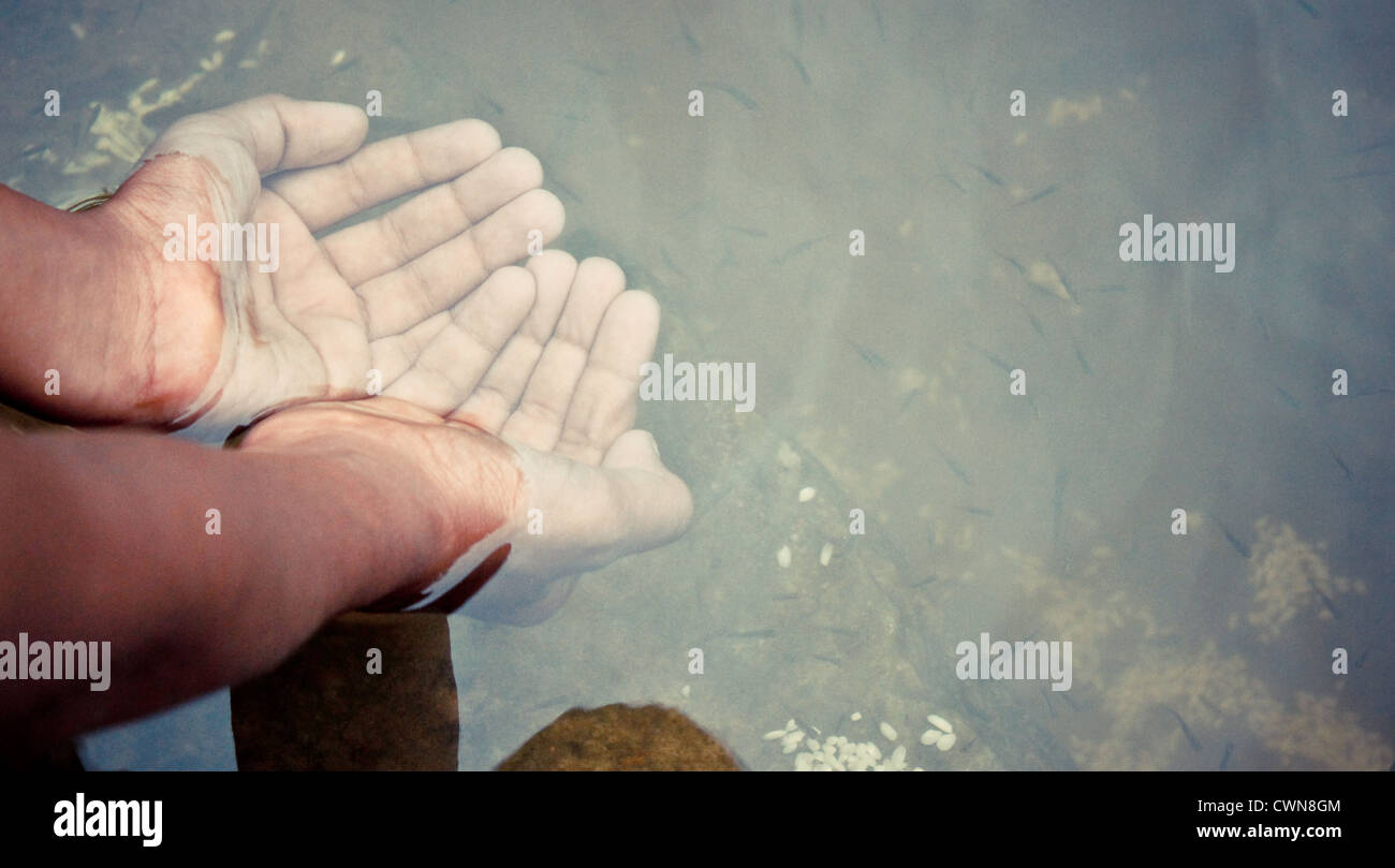 Hands in water Stock Photo - Alamy