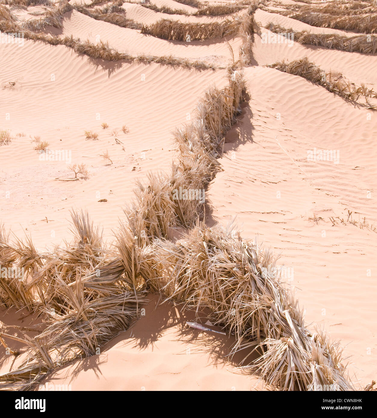 Palm facing out hi-res stock photography and images - Alamy