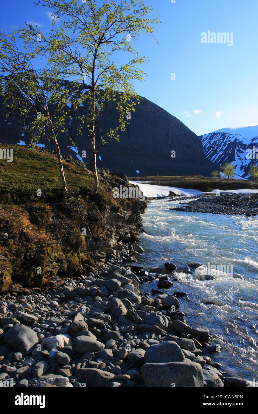 Wild cold river in Sarek national Park Stock Photo - Alamy