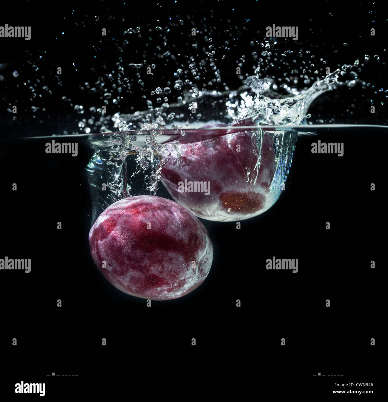 Fresh plums in water splash Stock Photo - Alamy
